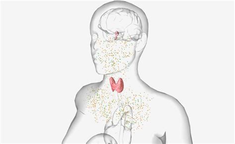 Hyperthyroidism Home