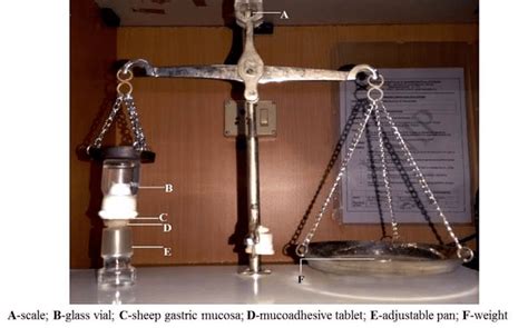 Schematic Diagram Of Modified Physical Balance For Measurement Of
