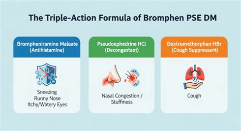 Bromphen Pse Dm Essential Information For Effective Cough Relief