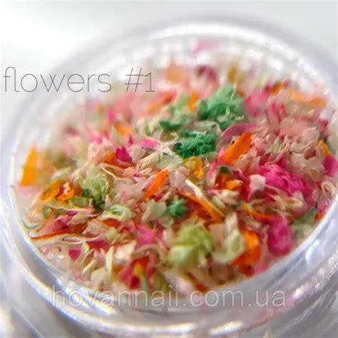 Купить Сухоцветы 01, цена 85 ₴ — Prom.ua (ID#1806872438)