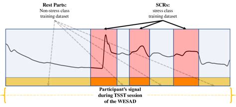 An Example Of The Dataset Creation Process From Each Sc Signal In The Download Scientific
