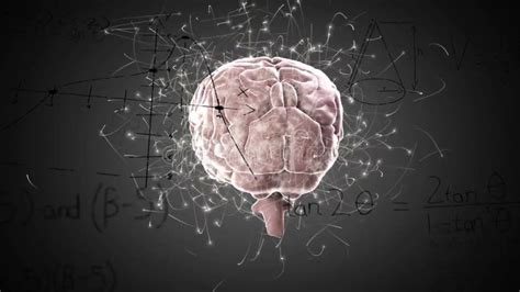Animation Of Mathematical Data Processing Over Human Brain Stock Footage Video Of Concept