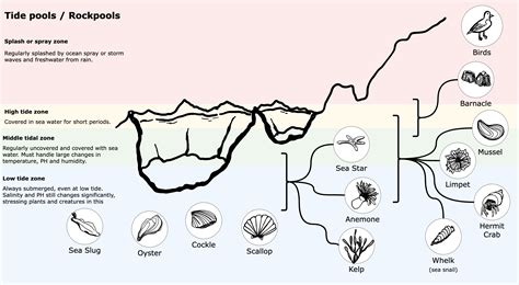 Blog Draw Freehand Infographics In Draw Io