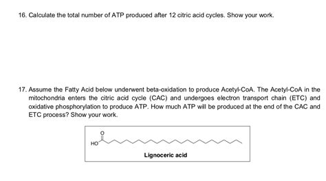 solved 16 calculate the total number of atp produced after