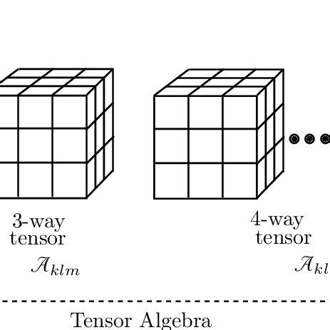 Tensors As Generalizations Of Scalars Vectors And Matrices Download Scientific Diagram