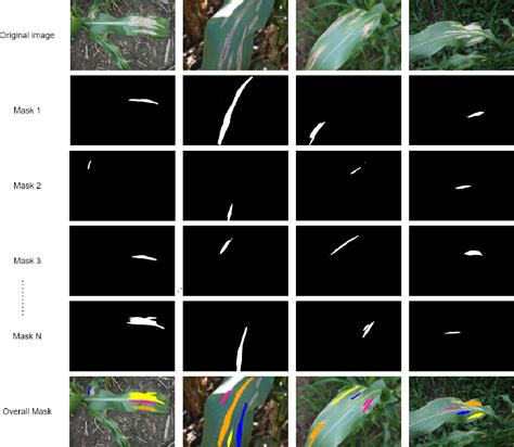 Figure 1 From Towards Accurate Disease Segmentation In Plant Images A