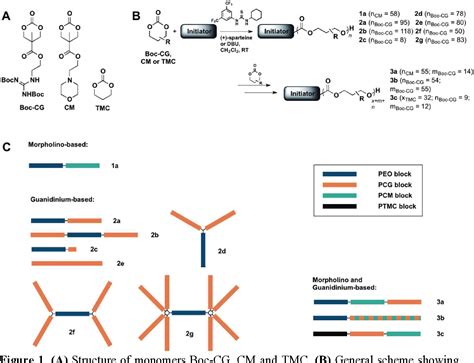 Figure 1 From Impact Of The Structure Of Biocompatible Aliphatic Polycarbonates On Sirna