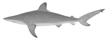 Locate Cropped Area Feature Detection With Scale But Not Rotation Invariance OpenCV Q A Forum