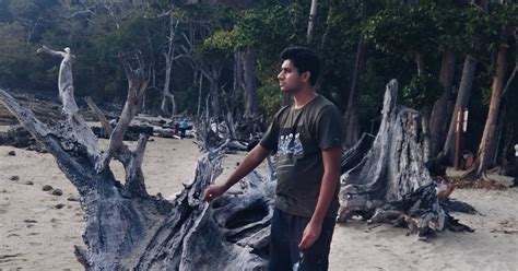 Data Analyst Cognizant Interview Experience Prabeen Bh Naukri Code 360