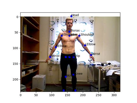 Use Own Images Issue Una Dinosauria D Pose Baseline GitHub