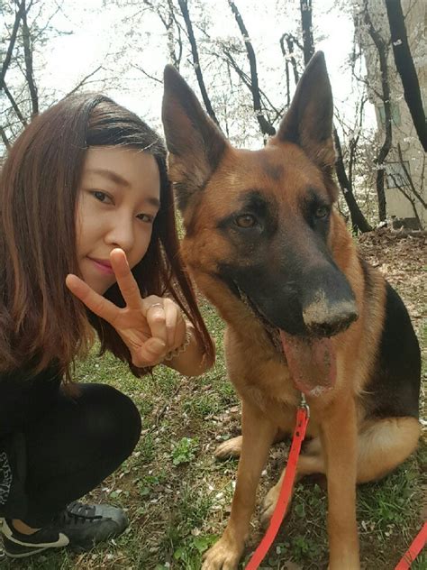 봄 그리고 벚꽃보다 이쁜 세퍼트 꽃개 티렌이 네이버 블로그