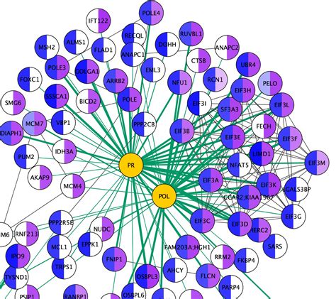 Top Python Tools For Stunning Network Graphs