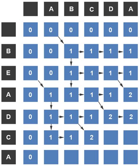 dynamic programming longest common subsequence