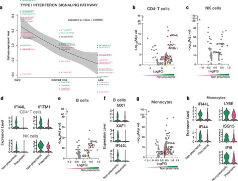 Enhanced Interferon Response Across Immune Cell Populations Defines