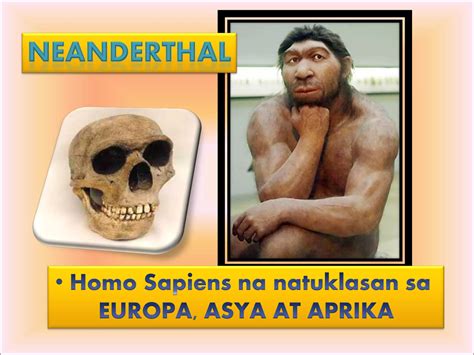 Ang Ebolusyon Ng Tao Ppt