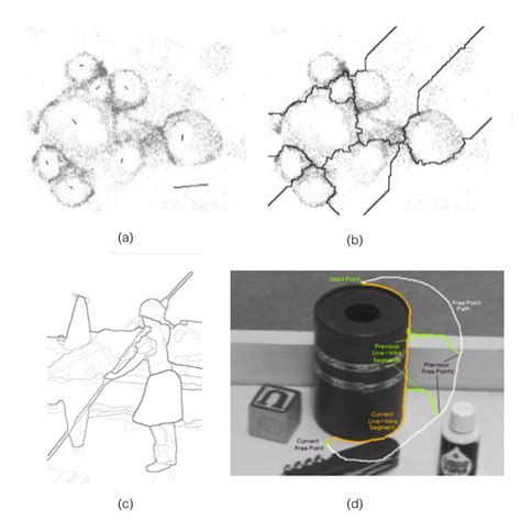 6 A Original Confocal Microscopy Image B Segmentation Using The