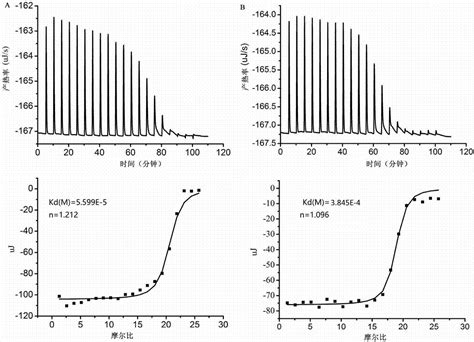 Method For Detecting Food Borne Pathogenic Bacteria Based On Nucleic Acid Chromatography