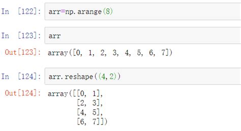 Python 数组操作 树懒学堂