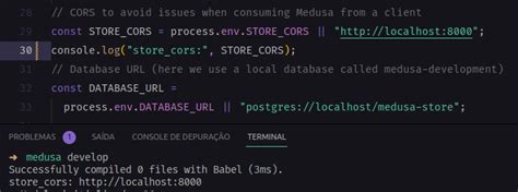 Error Network Error Starting Medusa Storefront Nextjs Service Issue Medusajs Medusa