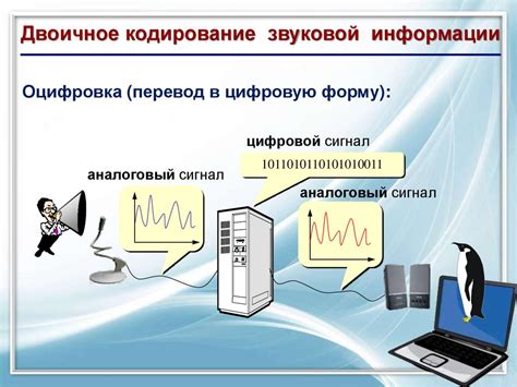 Представление текстовой, графической и звуковой информации ...