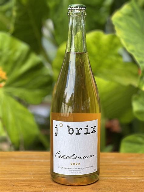 J Brix Cobolorum Riesling Pét Nat 2022 Bine And Vine