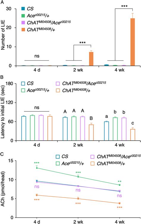 The Heterozygous Ace Mutation Fully Suppresses The Chat S Inhibitory Download Scientific