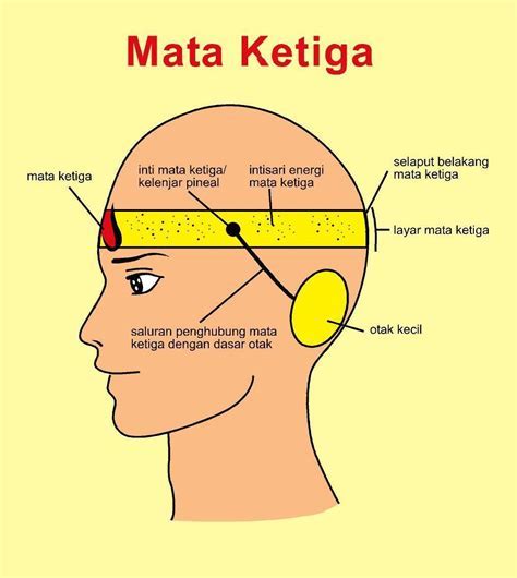 Cara Reset Hp Samsung Lupa Sandi Duahp Com