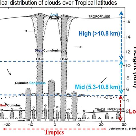 Complete Evolution Of The Vertical Structure Of Deep Convective Cloud Download Scientific
