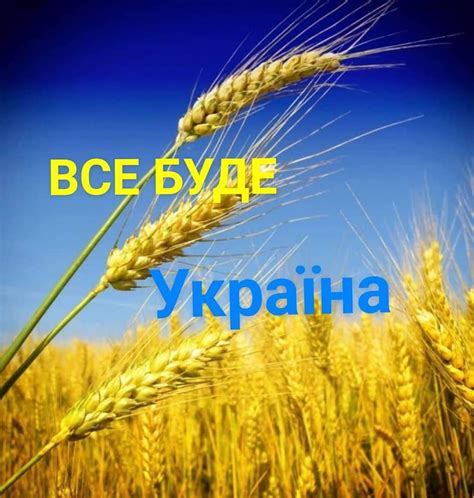 🌻Робота та Оголошення 🌻Вся Україна 🌻 Кого цікавить підписуватися на сторінки в Інстаграм