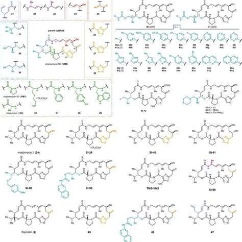 List Of Streptogramins Tested For Inhibitory Activity Fully Synthetic