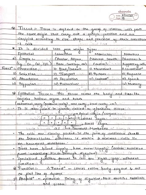 Epithelium Connective Tissue Pdf