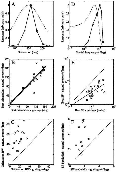 comparison of the properties of the reverse correlation maps with the