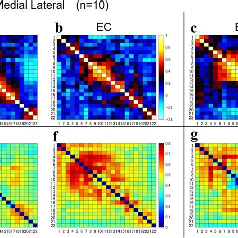 Mean And Standard Deviation Of The Instantaneous Phase Synchronization