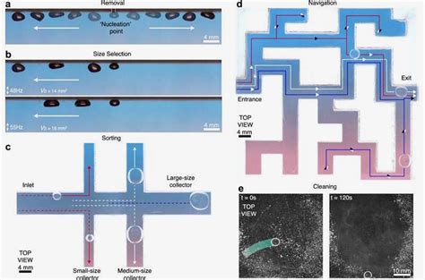 Bubbles That Break Rules A Fluid Discovery That Defies Logic — Science And Technology —