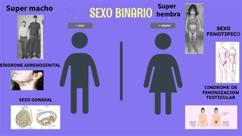 SEXO BINARIO