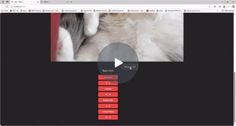 Github Risquamussacodepath Project Lab