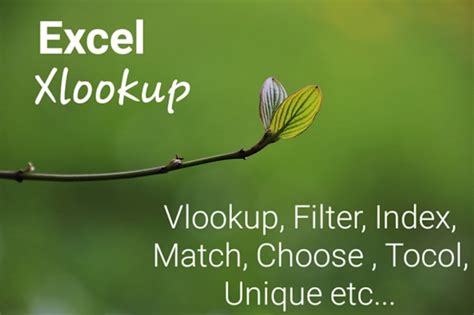 do advanced excel functions xlookup filter vlookup by rajeshzen fiverr