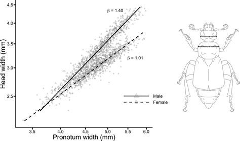 Ecological Entomology Vol No