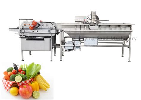 Quality Vegetable Processing Equipment And Fruit Processing Equipment