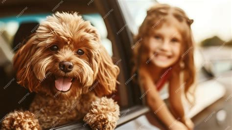 A Happy Young Girl And A Joyful Cockapoo Dog Peering Out Of A Car