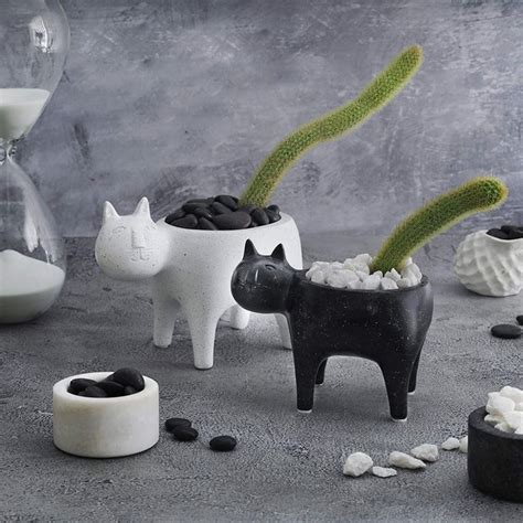 Product Of The Week Cute Cat Planters Planters Cute Cat House