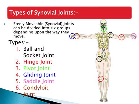 Ppt On Joint Pptx