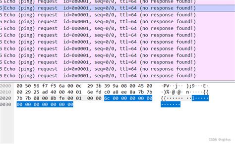 流量分析(一ctfhub Icmp Csdn博客 流量分析(一ctfhub Icmp Csdn博客