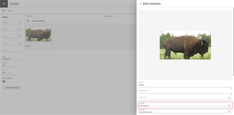 Overview Licenses Ring Publishing Help Documentation
