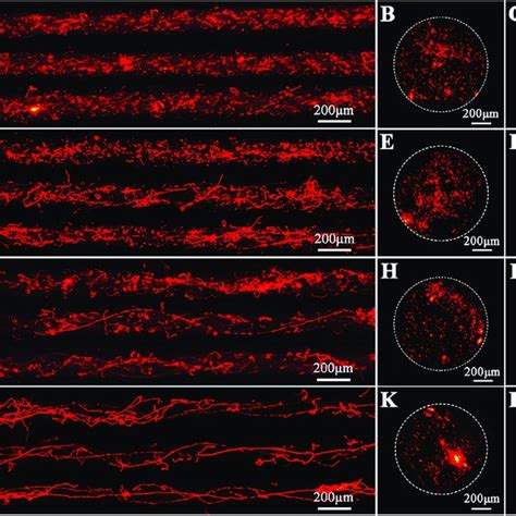 A Schematic Illustration Of The Formation Process Of Composite Yarn Download Scientific