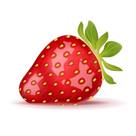 잘 익은 딸기 흰색 절연 무료 벡터
