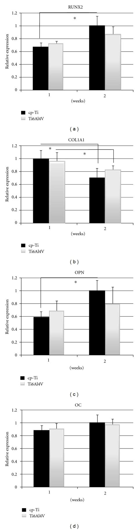 real time pcr results showing the expression of runx2 col1a1 opn and