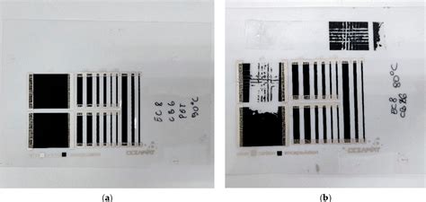 Figure 4 From Carbon Based Composites With Biodegradable Matrix For
