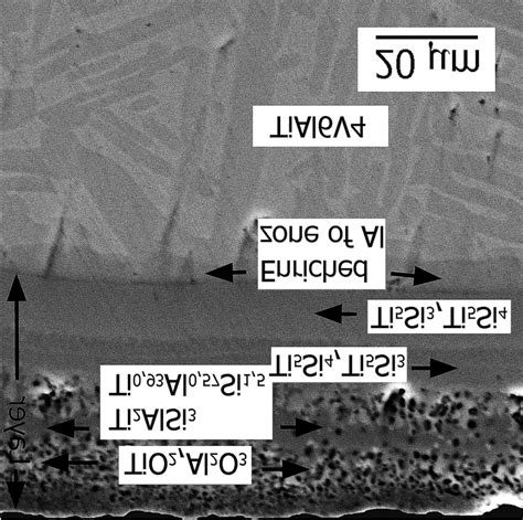 Sem Macrograph Of The Cross Section Of The Layer Prepared In The Alsi20 Download Scientific
