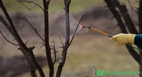 Препарат Брунька: когда использовать препарат Брунька | Agro-Market
